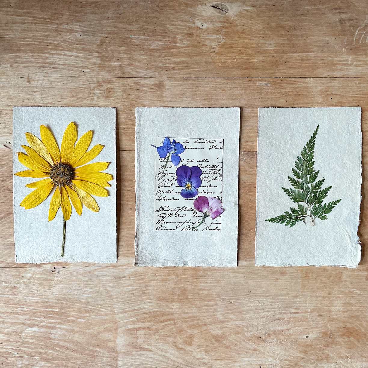 Prensar Flores: Técnicas e Dicas para Amantes de Jardinagem - Agro ...